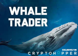 AI Crypto Trading – Wolf Of Crypto